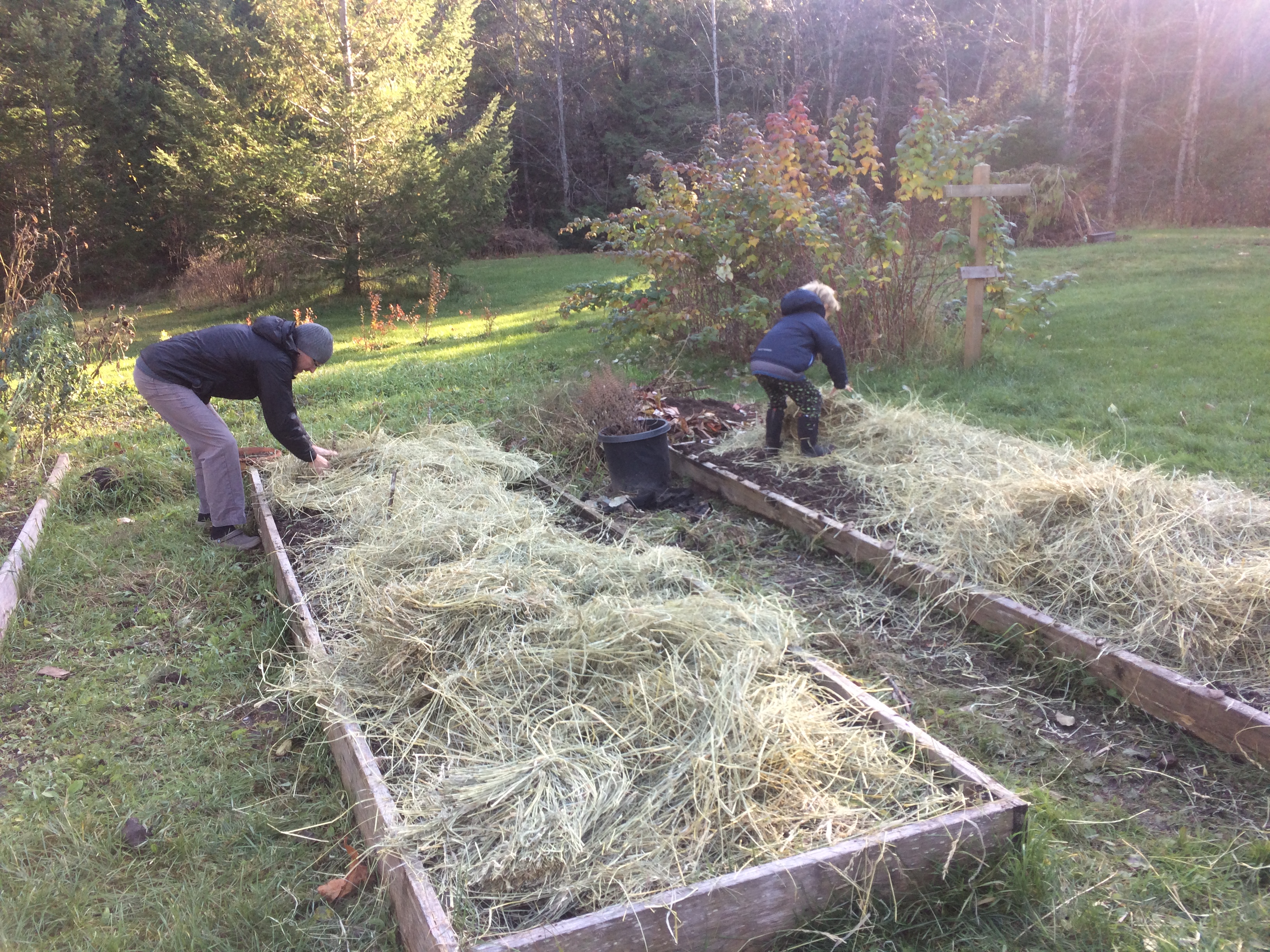 Planting Garlic Is My Most Potent Annual Prayer – Traced Elements